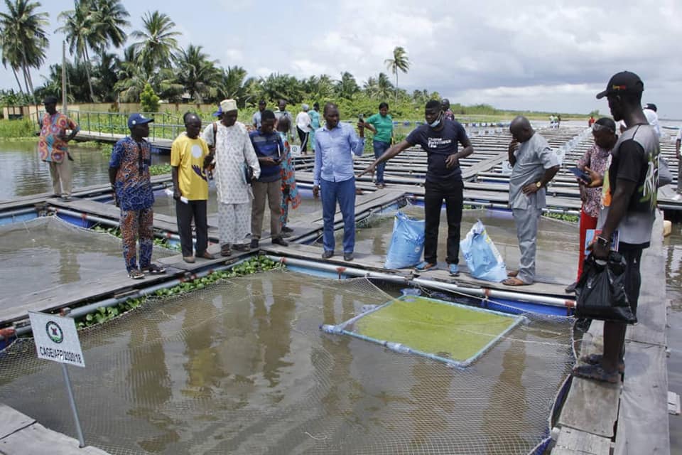 Lagos trains fish farmers to increase productivity - Lagos Panorama